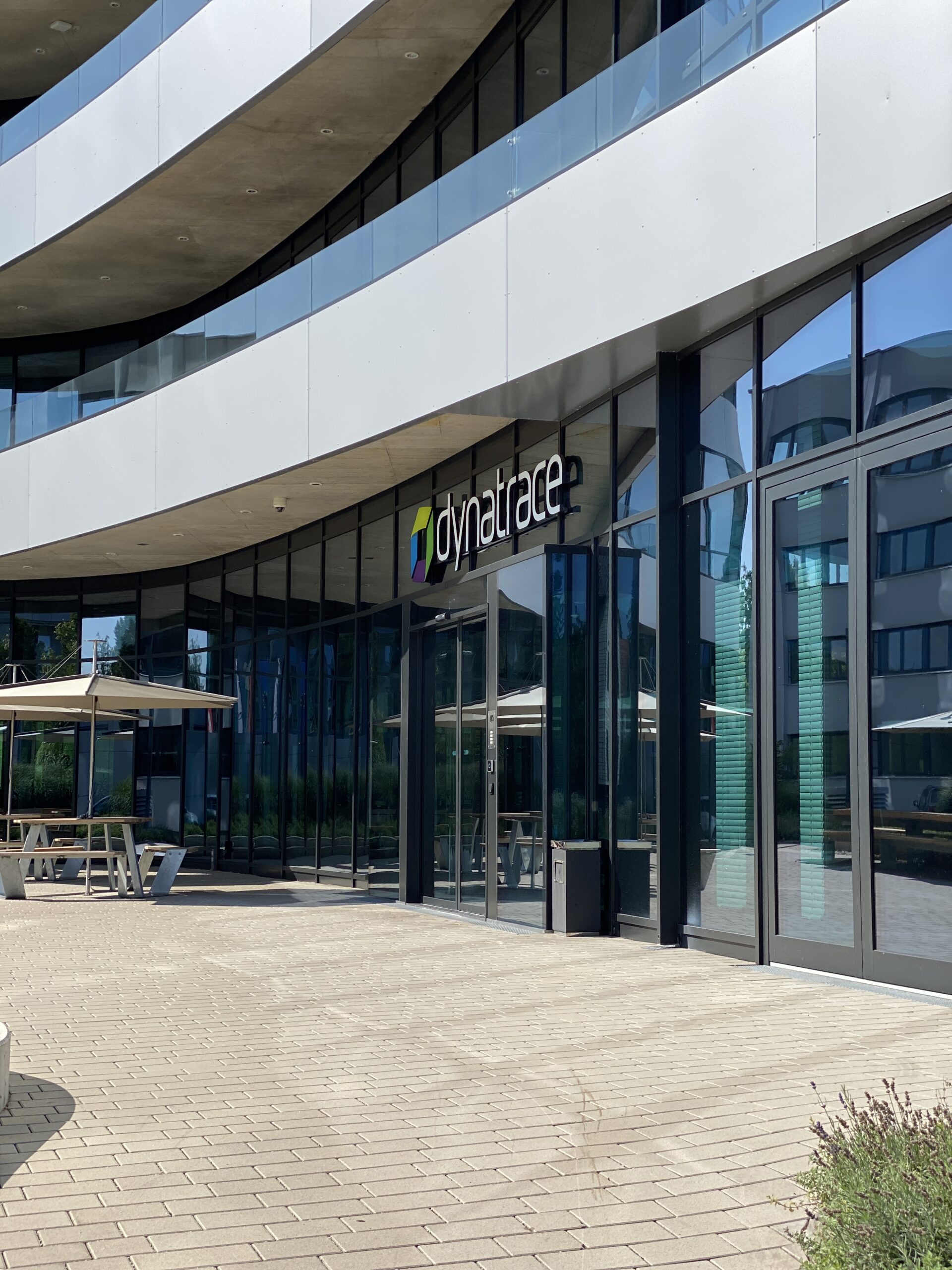 WE ARE SO experience + Besuch im Dynatrace Headquarter | Creative Region